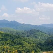 Cameron Highlands, Lojing Kelantan – 350 acres Agriculture Land for ...