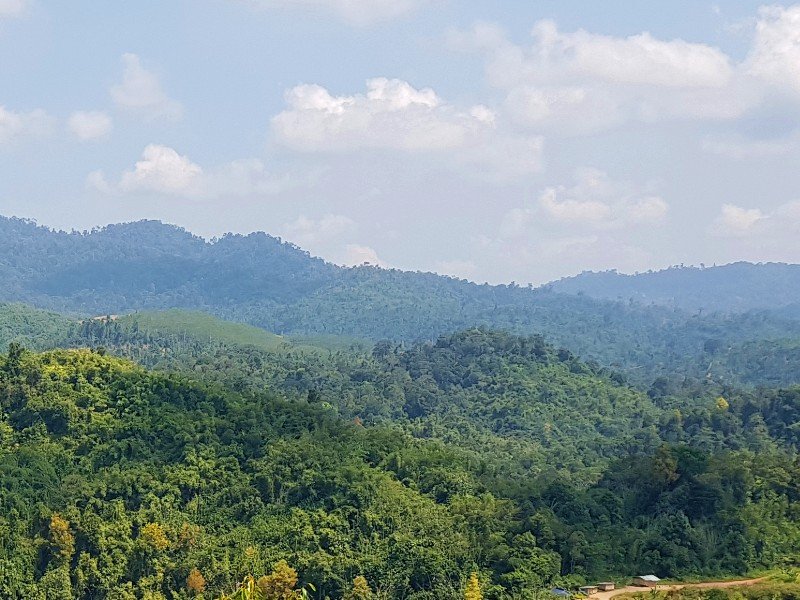 Cameron Highlands, Lojing Kelantan – 350 acres Agriculture Land for ...