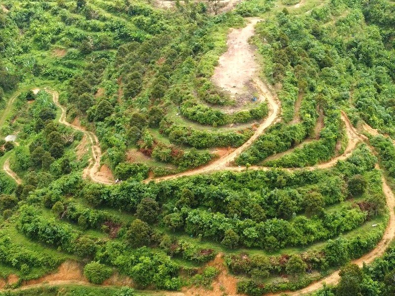 Karak, Pahang – 17 acres Freehold Musang King Durian Farm 加叻，彭亨 – 17 ...